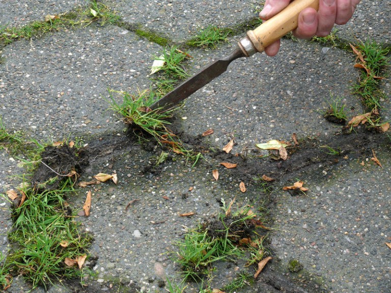 The Only Way to Kill Weeds on Block Paving & Patios (Forever)
