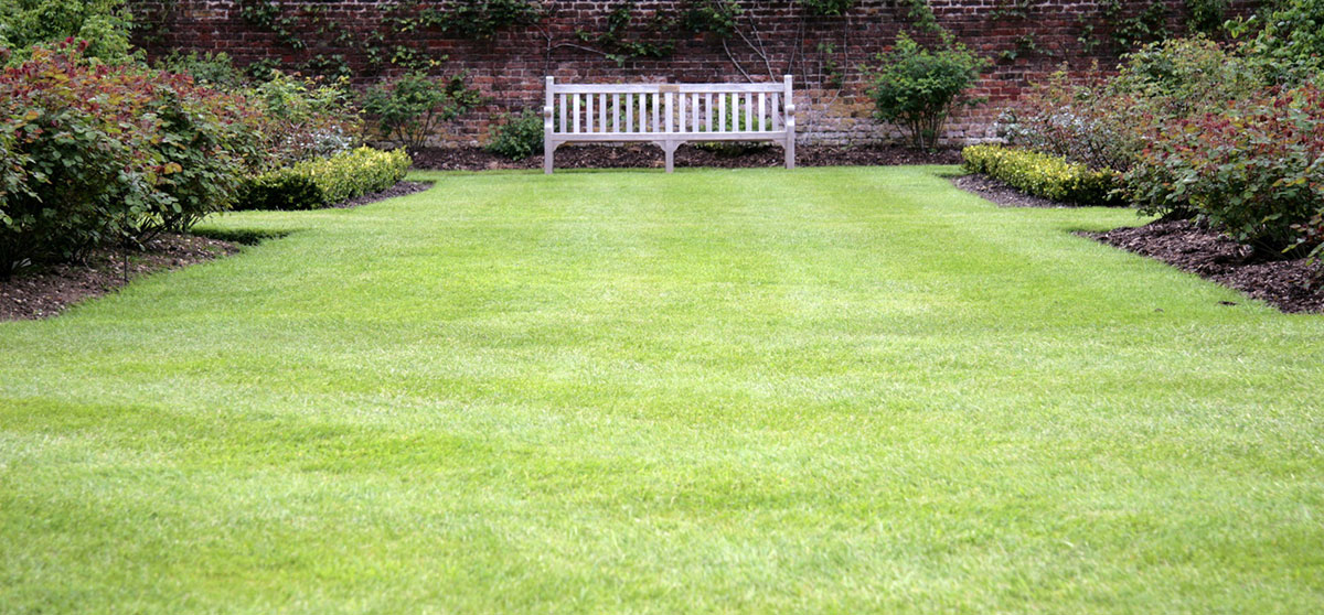 How to Get the Perfect Lawn (UK Guide)