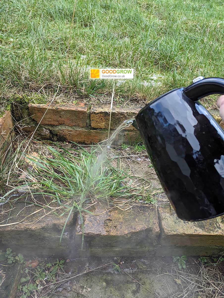 Killing Weeds with Boiling Hot Water. Will it Kill Weeds in the UK?