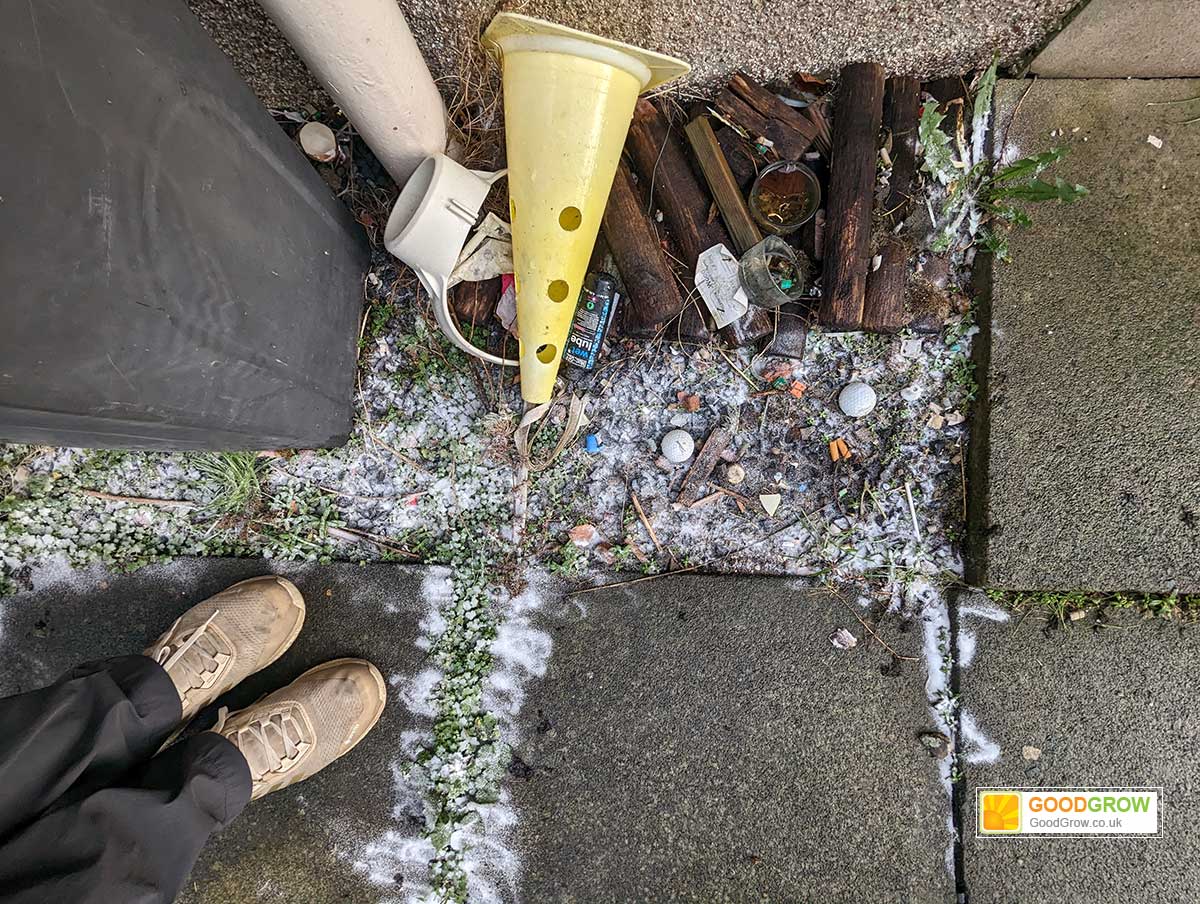 Does 27p Salt REALLY Kill Weeds? Is Salt a Weed Killer?